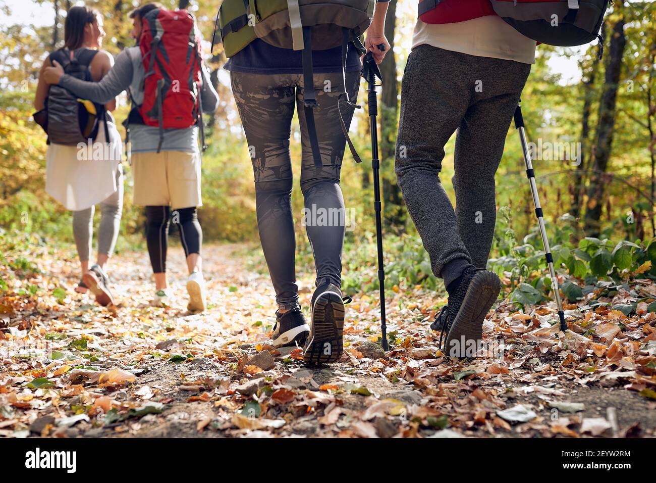 Back view of hikers while hiking in nature, concept Stock Photo - Alamy