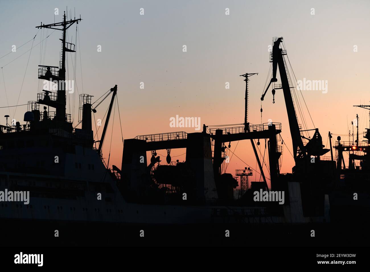 Silhouettes of ships and container cranes in sea port, sunset ...
