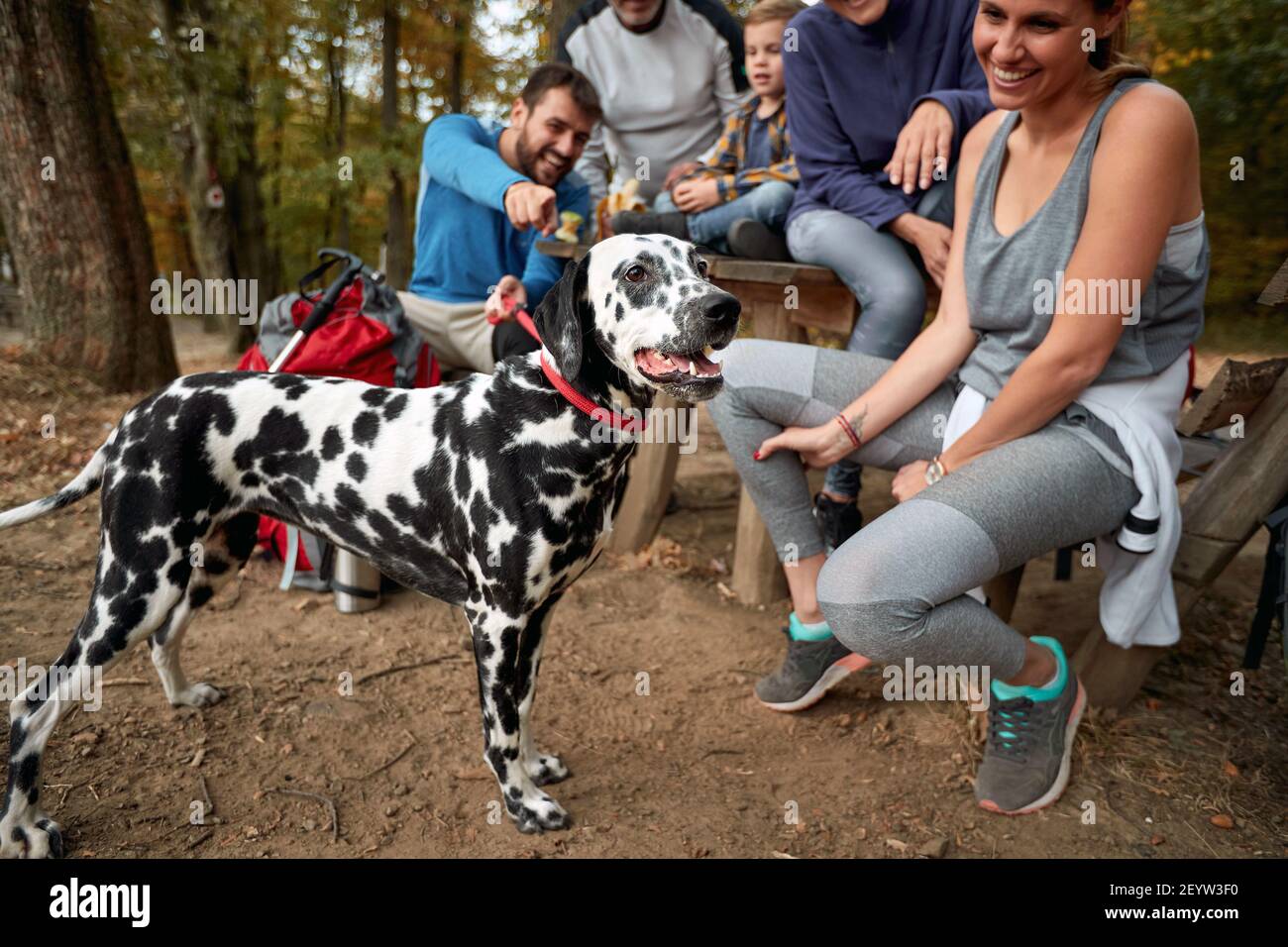 Beautiful dog enjoying in forest with owners Stock Photo - Alamy