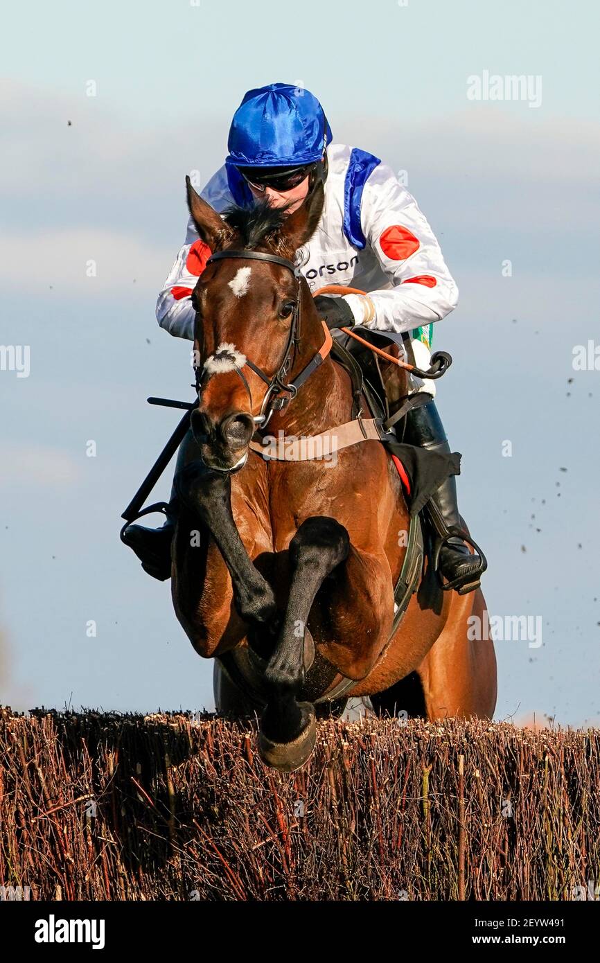 Hitman horse hi-res stock photography and images - Alamy
