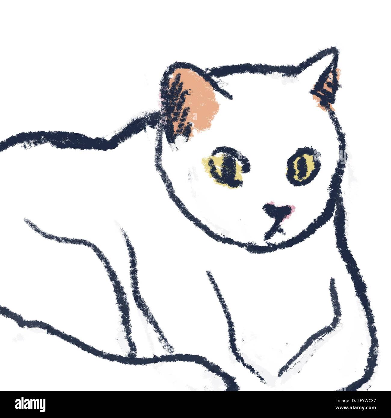 cat sketch drawing art illustration Stock Photo - Alamy