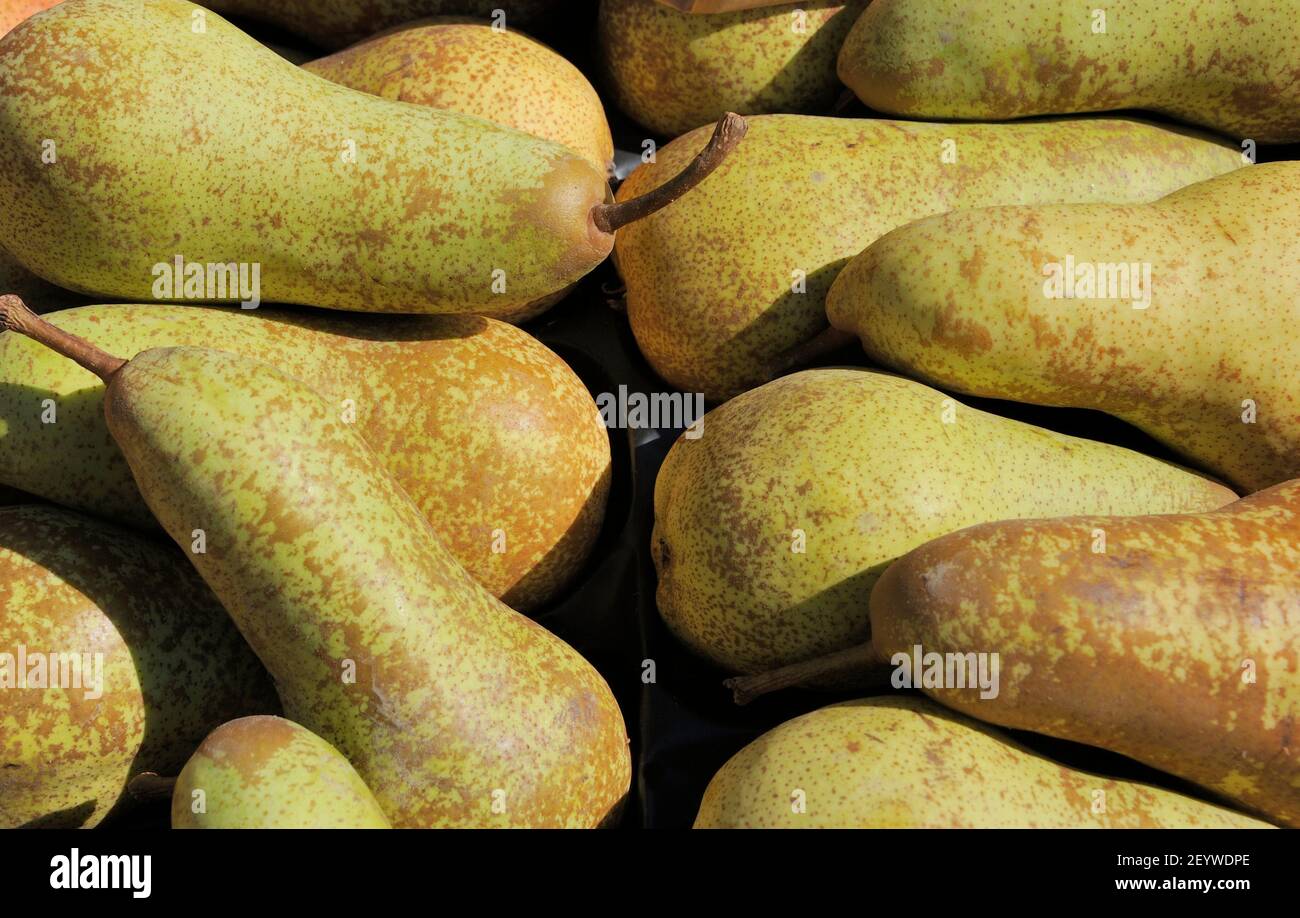 Group of pears hi-res stock photography and images - Alamy