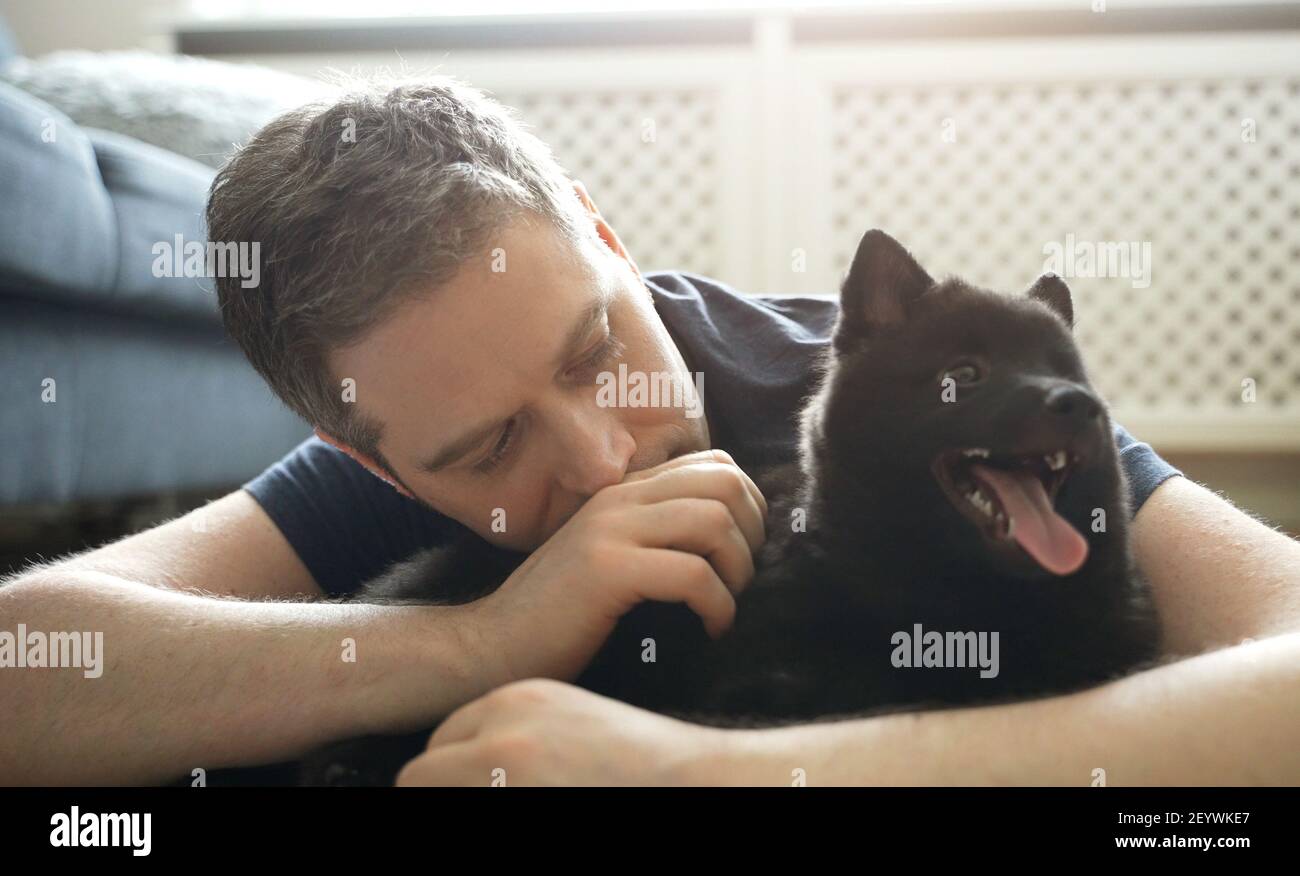 Man playing with his Schipperke dog Stock Photo - Alamy