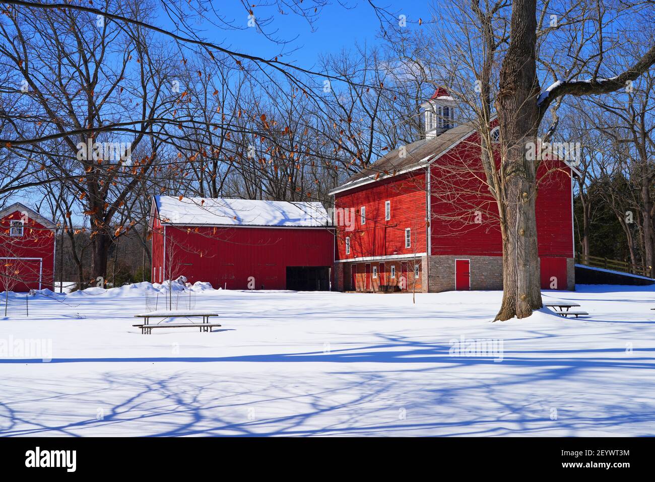 BUCKS COUNTY, PA –21 FEB 2021- Winter view of the Tinicum Conservancy ...