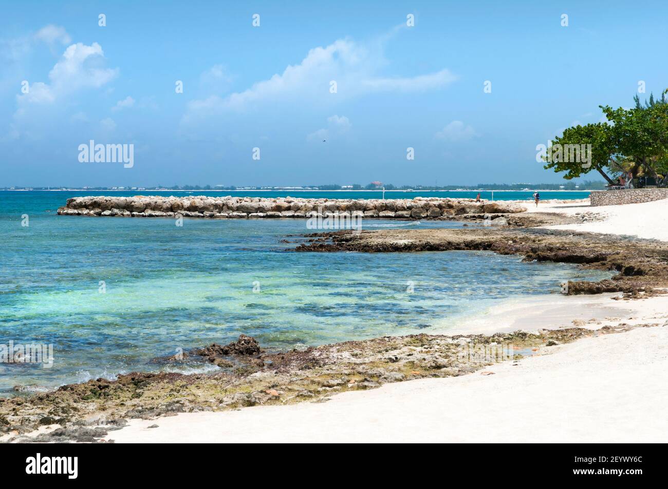 The rocky and sandy shore on Grand Cayman island Seven Mile Beach ...