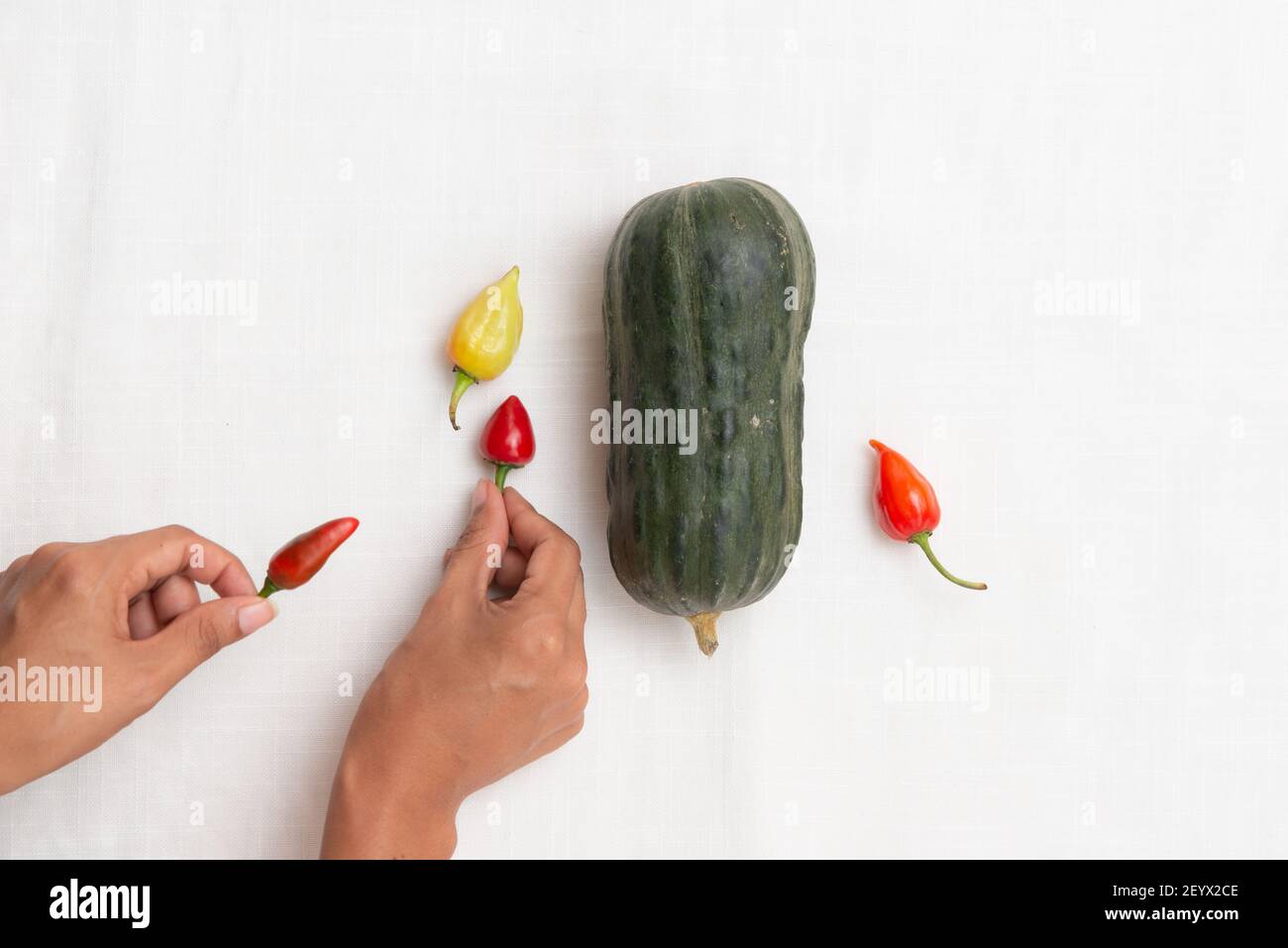 An isolated shot of some fresh vegetables and human hands on white ...