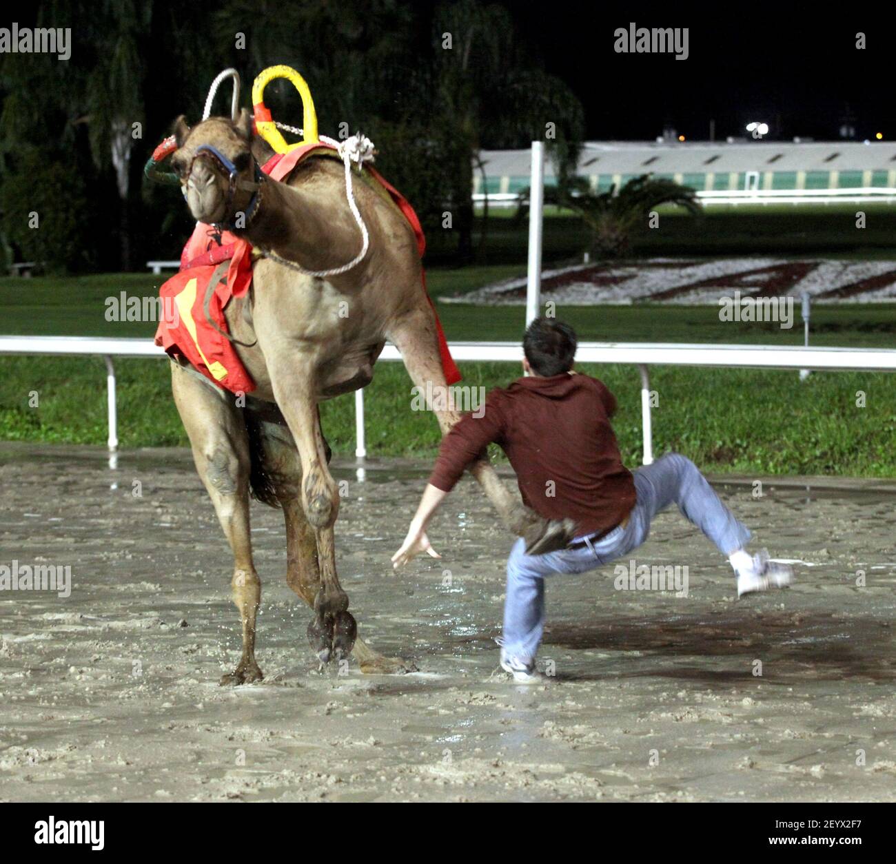 18 August 2012 - New Orleans, Louisiana, USA - Hank Allen ...
