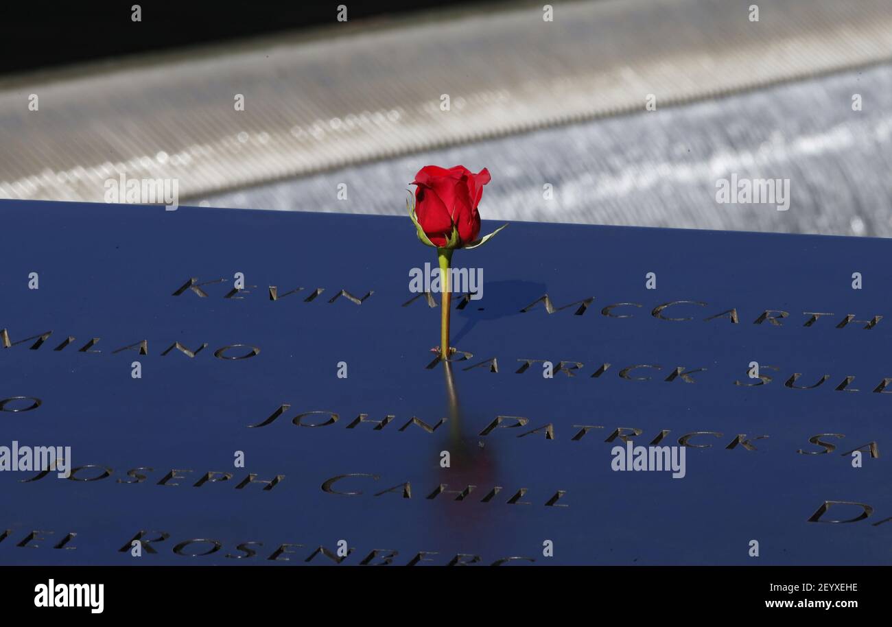 11 September 2012 - New York, NY - A single rose is stuck into the ...