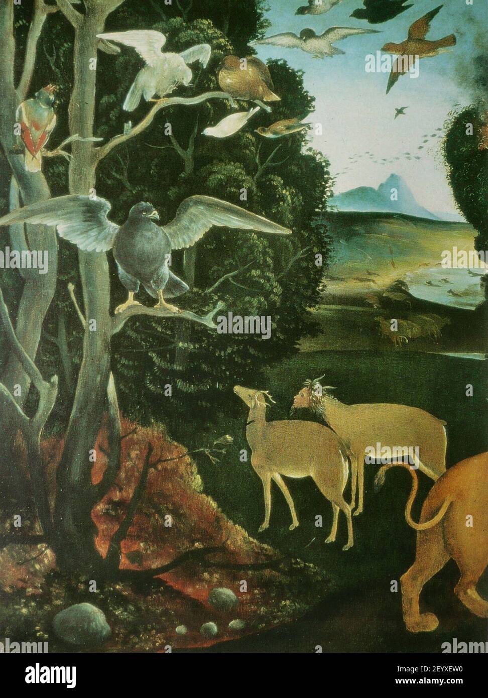 Piero de cosimo hi-res stock photography and images - Alamy