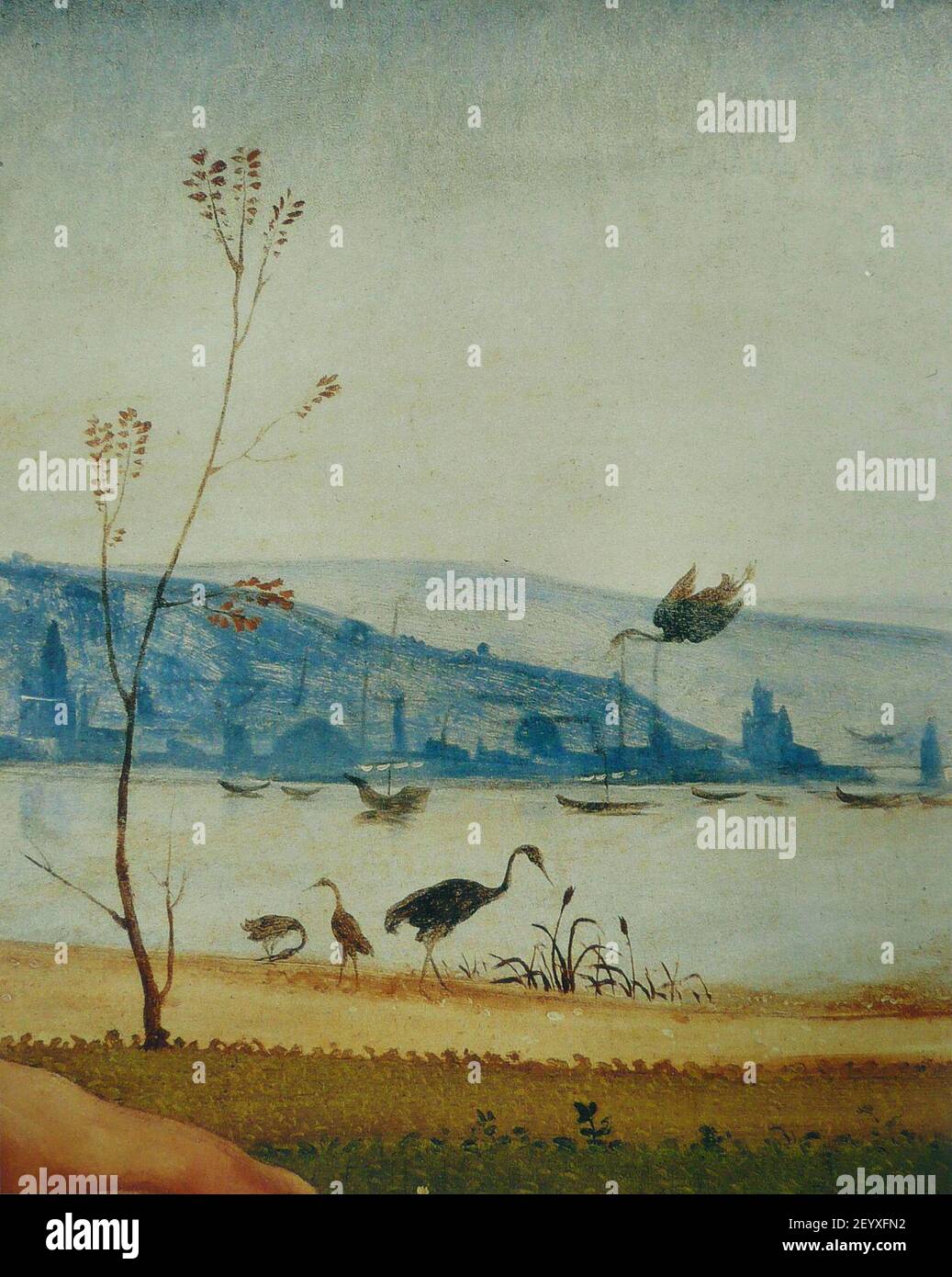 Piero de cosimo hi-res stock photography and images - Alamy