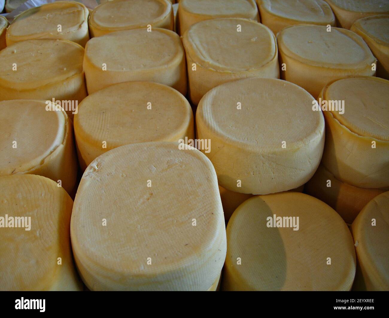 Rounds of homemade artisan Peruvian cheese as seen at the local Market ...