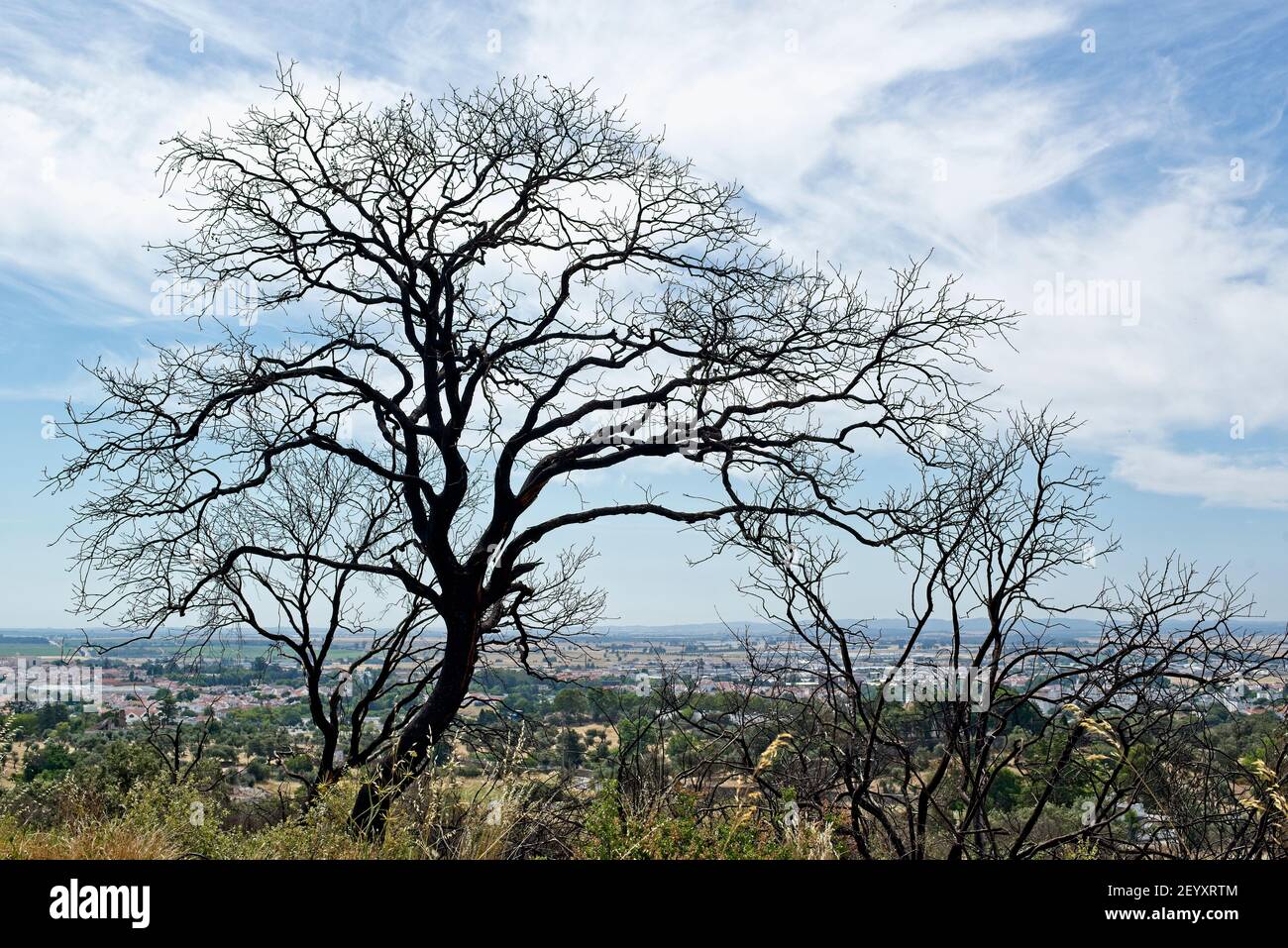 Burnt photo texture hi-res stock photography and images - Alamy