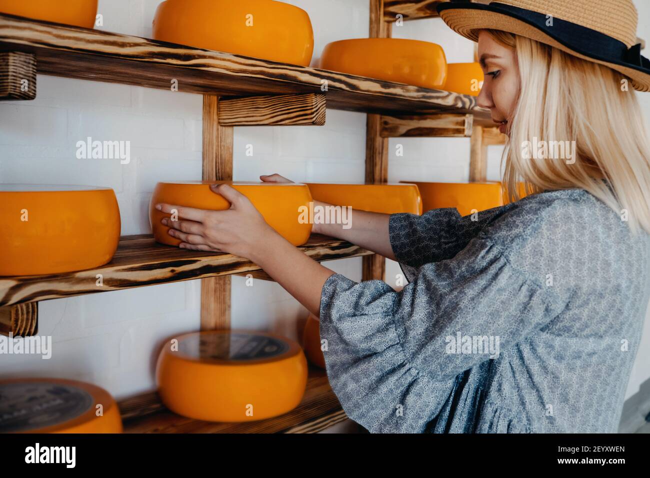 Goat Cheese Wheel in female hands on rack in factory warehouse. Several ...