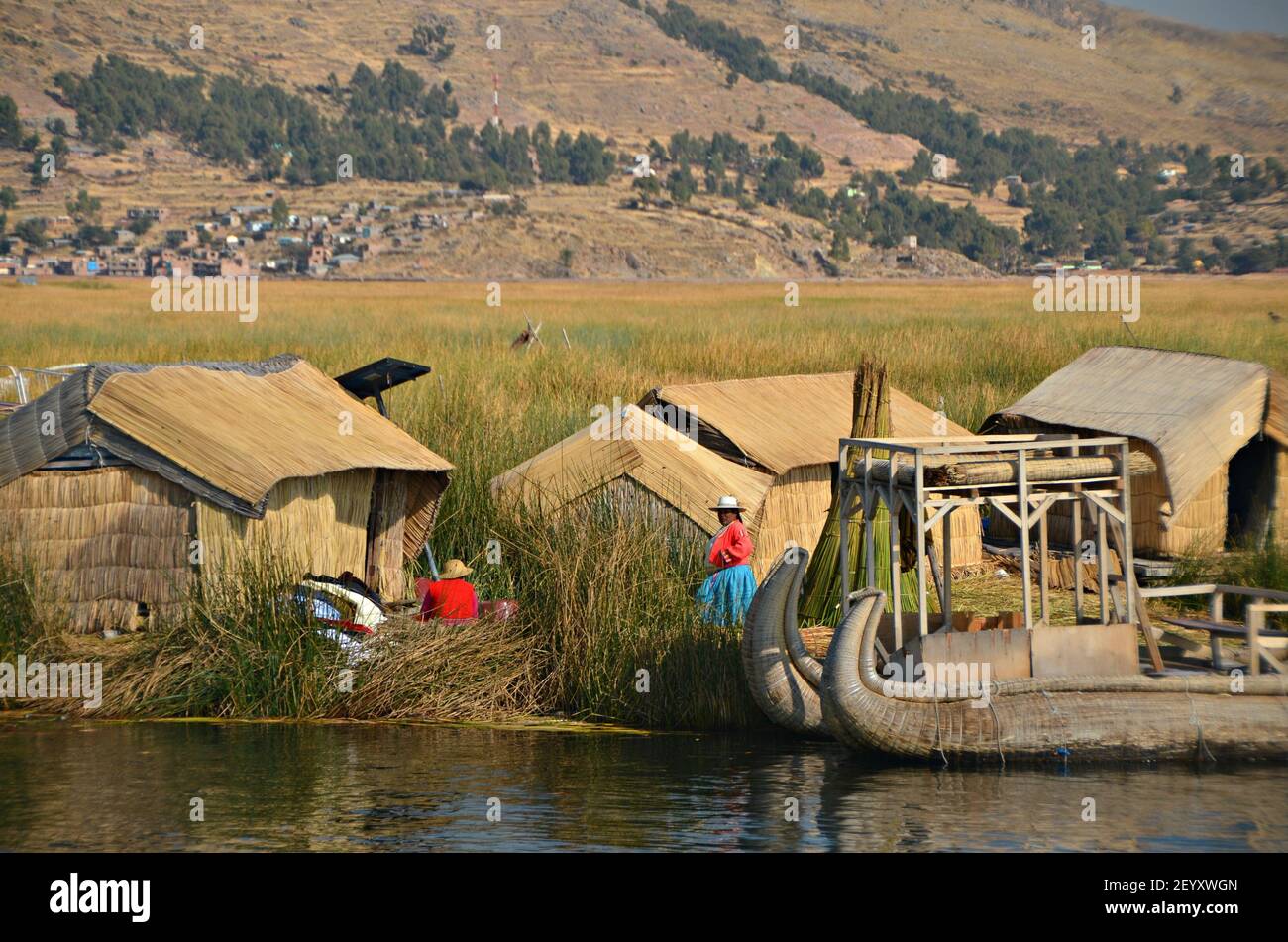 Uru birds hi-res stock photography and images - Alamy