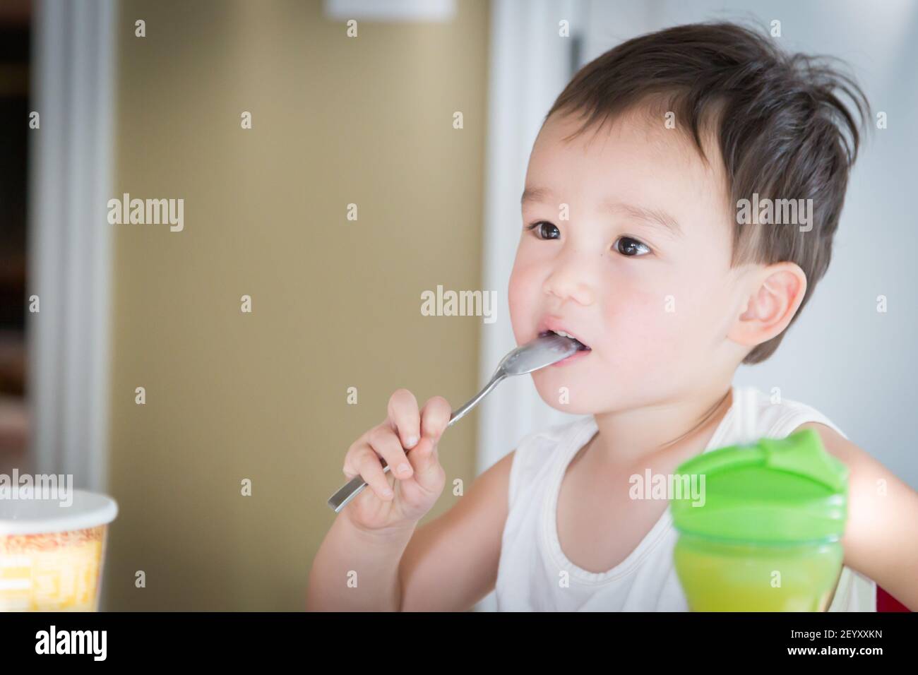 Cute Young Chinese and Caucasian Boy Enjoying Eating His Ice Cream ...