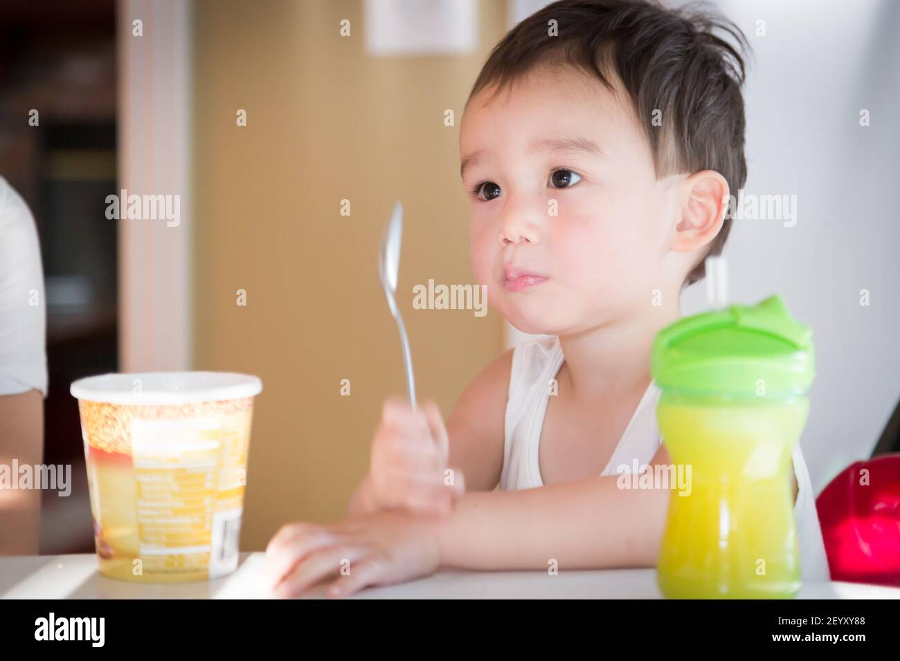 Cute Young Chinese and Caucasian Boy Enjoying Eating His Ice Cream ...