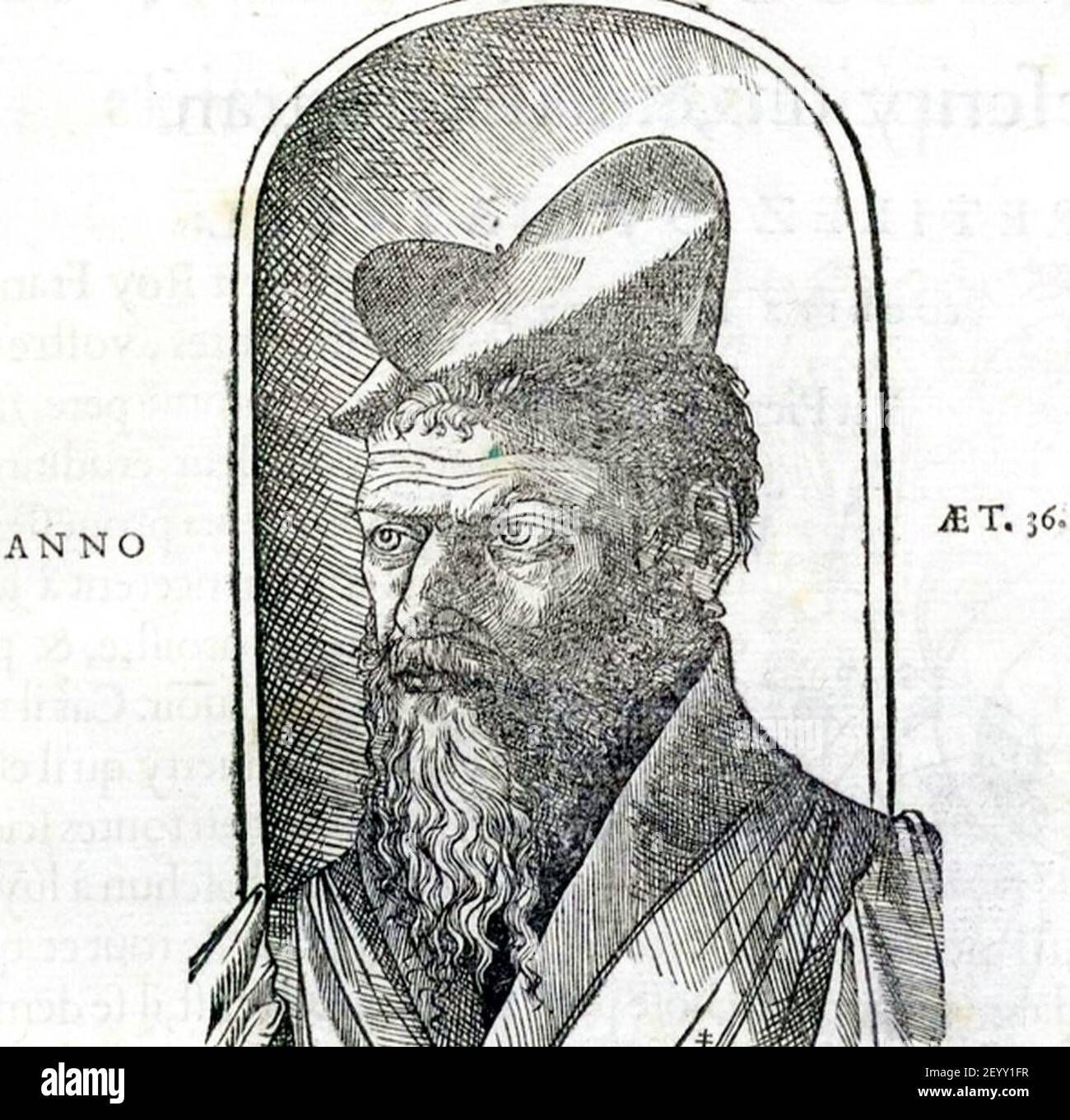 Pierre Belon aged 36 Stock Photo - Alamy