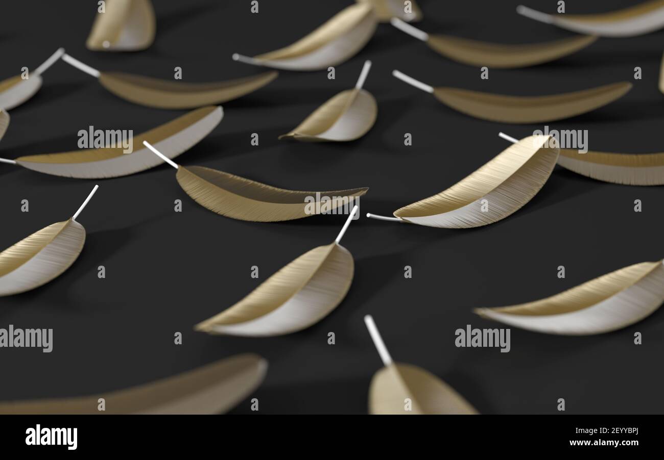 Creative soft feather background, 3d rendering. Computer digital ...