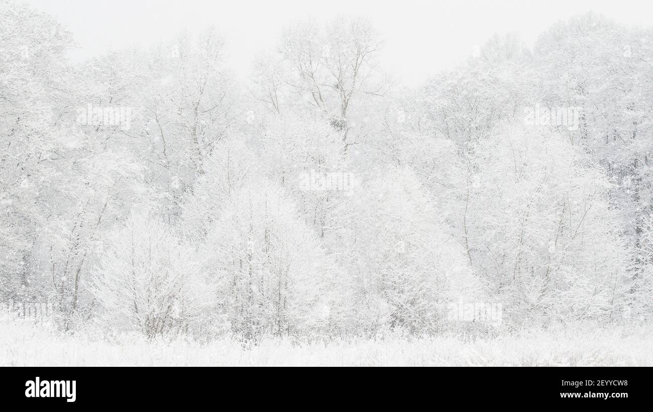 Mesmerizing shot beautiful snow hi-res stock photography and images - Alamy