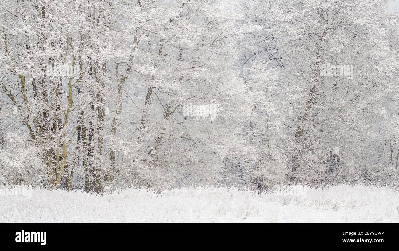 Mesmerizing shot beautiful snow hi-res stock photography and images - Alamy