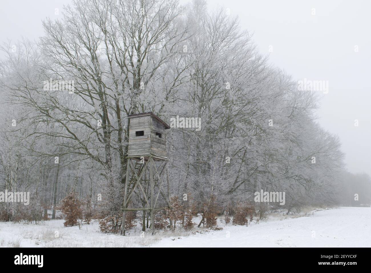 Mesmerizing shot beautiful snow hi-res stock photography and images - Alamy