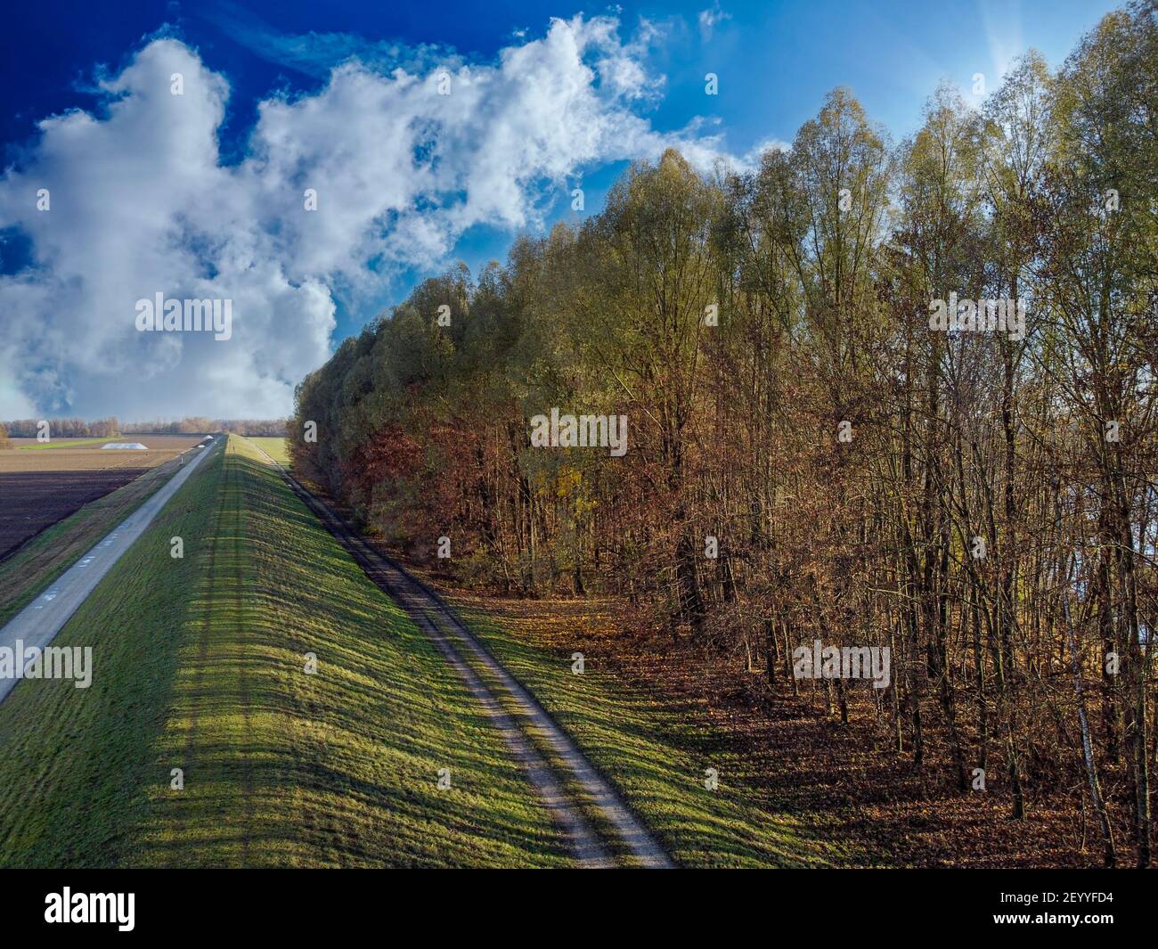 An aerial shot of an empty pathway surrounded by a forest Stock Photo ...