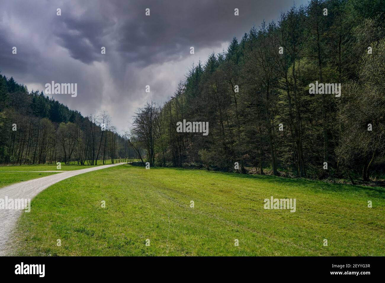 Closeup shot empty pathway hi-res stock photography and images - Alamy