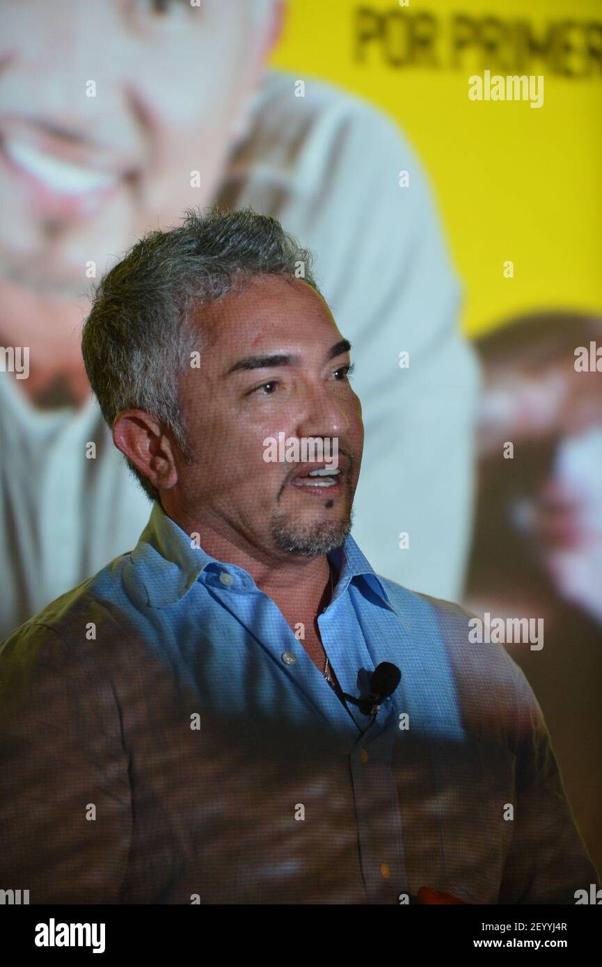 15 OCTOBER 2012: Cesar Millan attends screening of Of El Lider De La ...