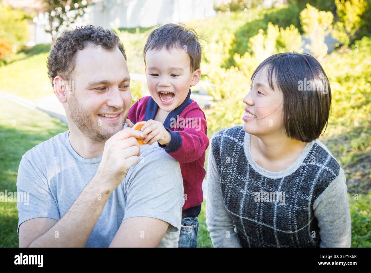 Happy Mixed Race Family Having Fun Outside on the Grass Stock Photo - Alamy