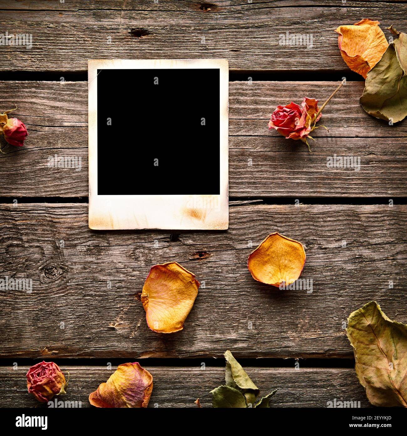 Film photo roses hi-res stock photography and images - Alamy