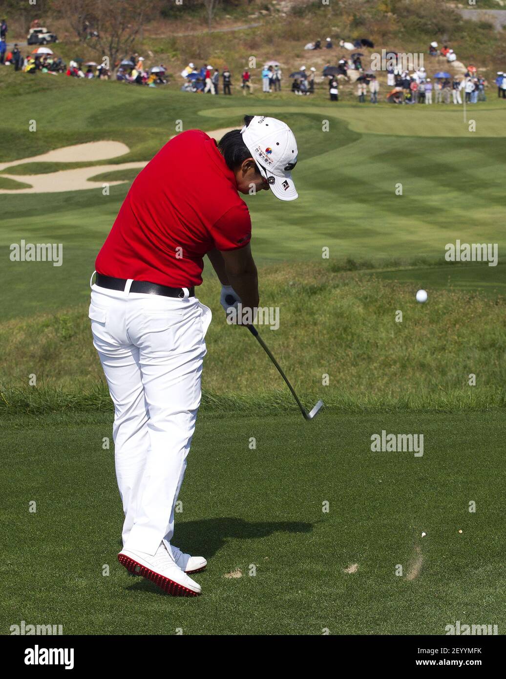 19 October 2012 - Incheon, South Korea : Yani Tseng from Tiwan putt ...