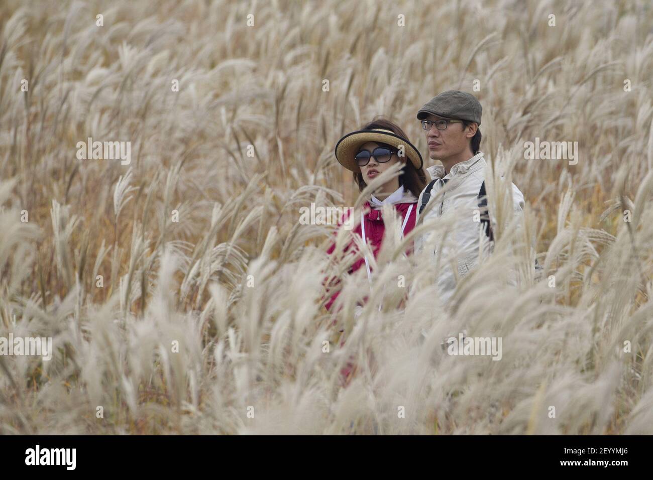 20 October 2012 - Incheon, South Korea : Gallery watches the 6th hole ...