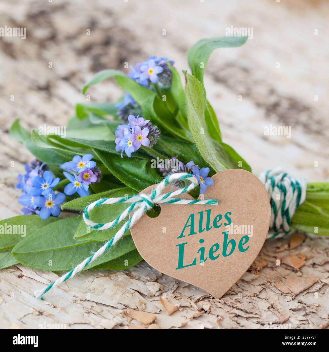 Small bunch of forget-me-nots Stock Photo - Alamy