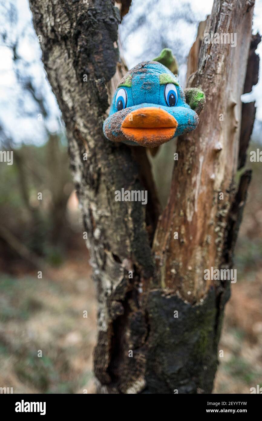 Abandoned stuffed toy hi-res stock photography and images - Alamy