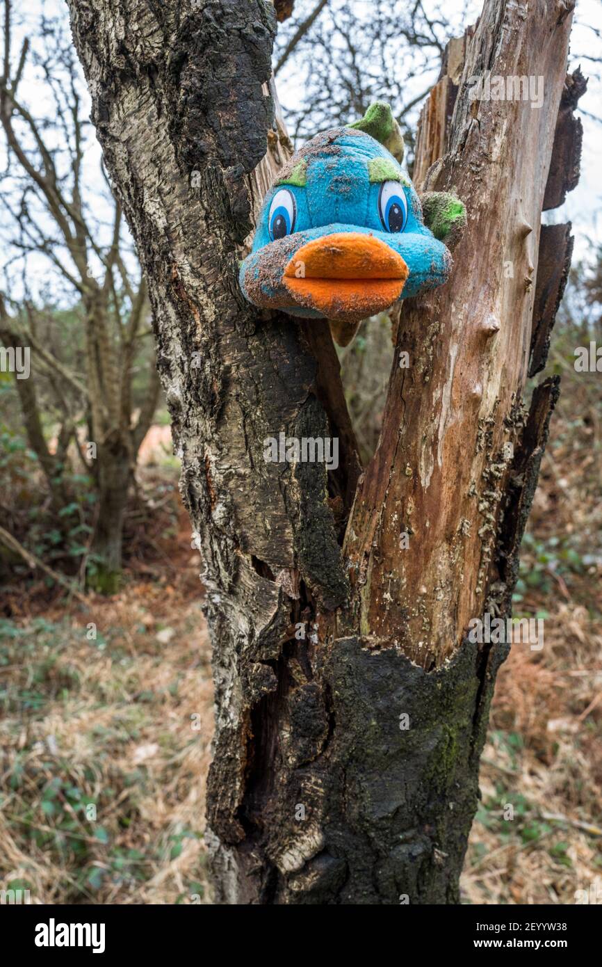 Stuffed toy of a fish placed in a tree trunk Stock Photo - Alamy