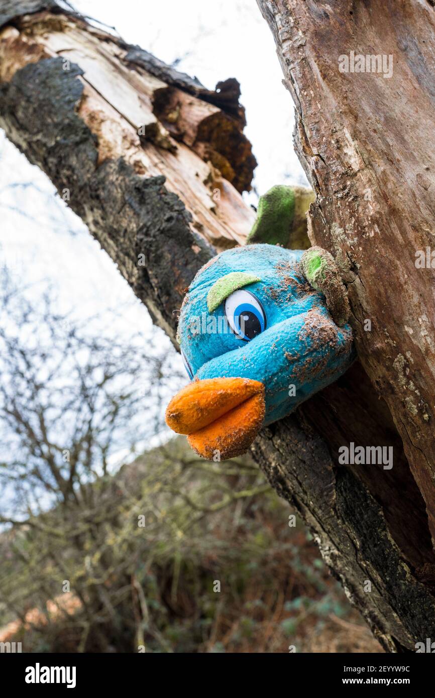 Stuffed toy of a fish placed in a tree trunk Stock Photo - Alamy
