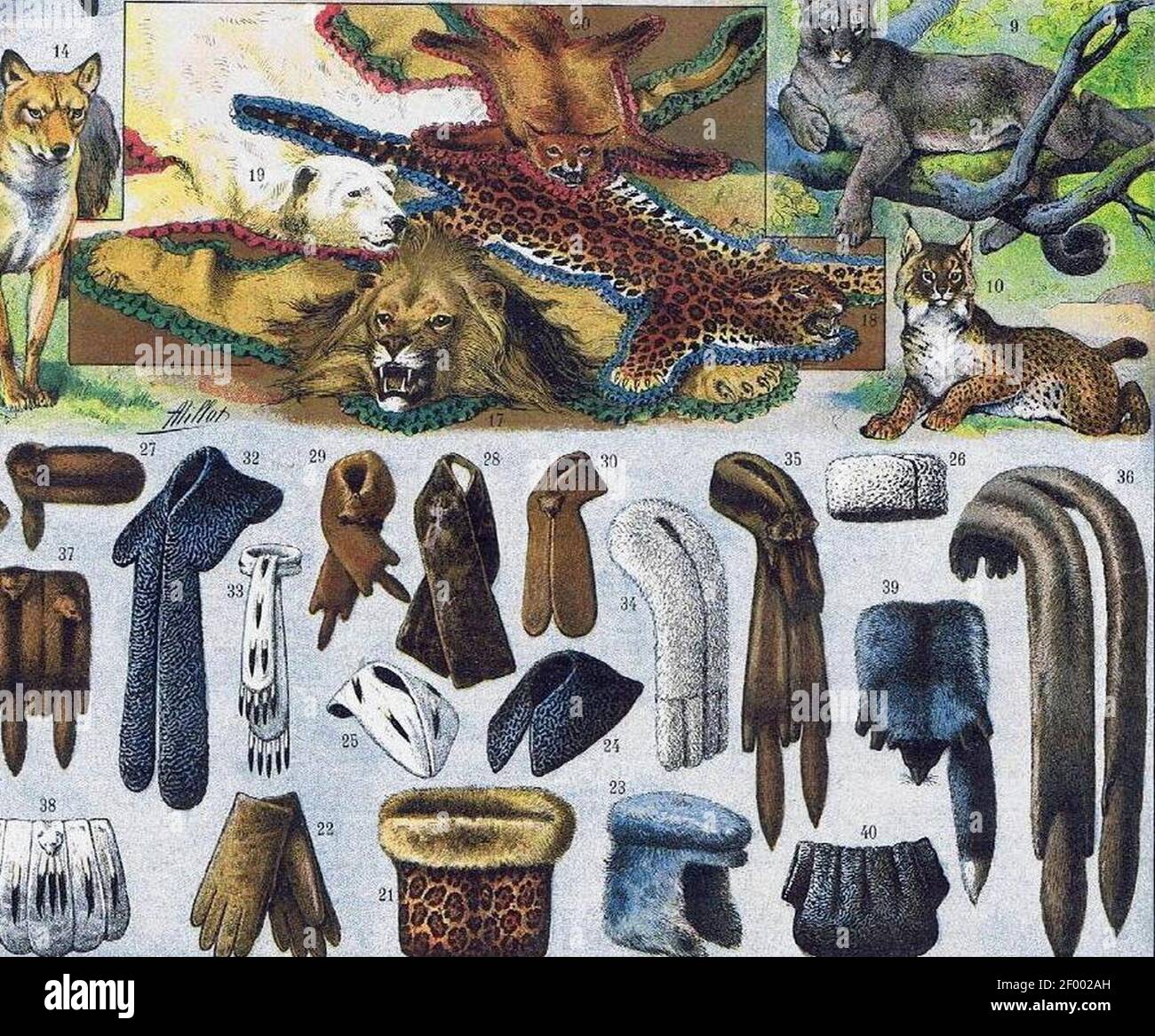 Pierre Larousse, Furs Stock Photo - Alamy