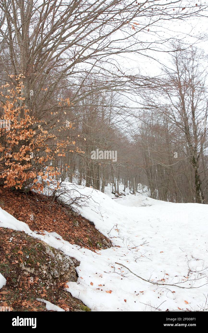 Campocatino winter hi-res stock photography and images - Alamy