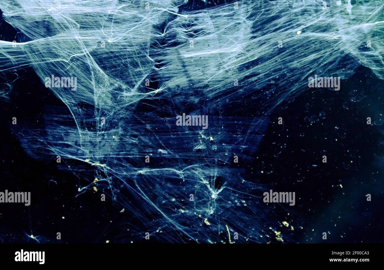 Strange lights and shapes depicting what a ghost or ectoplasm ...