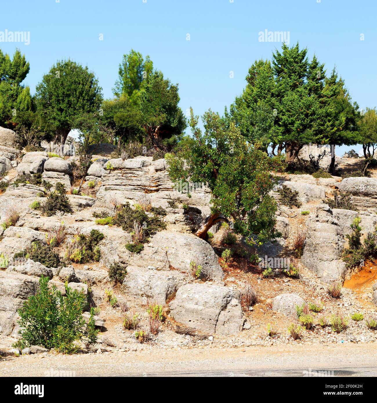 From the hill in asia turkey selge old architecture ruins and nature ...