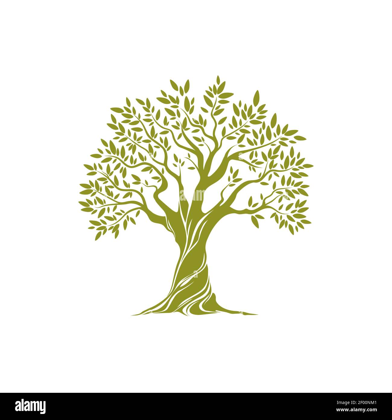 Fruit tree in flat style isolated extra virgin olive oil botanical ...