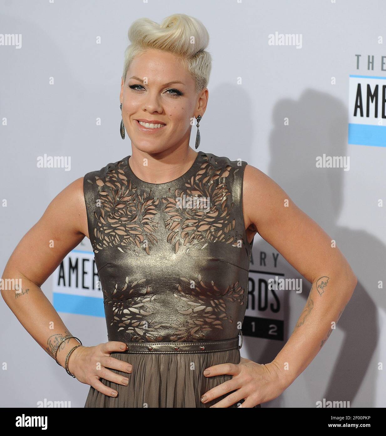 18 November 2012 - Los Angeles, CA - Pink attends the 40th American ...