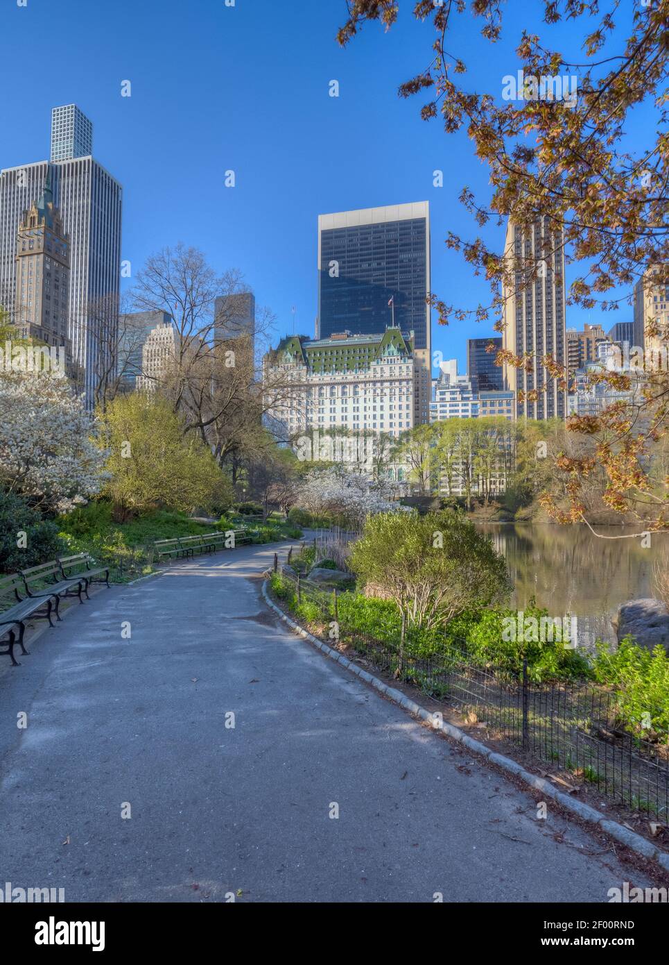 Spring in Central Park, New York City Stock Photo - Alamy