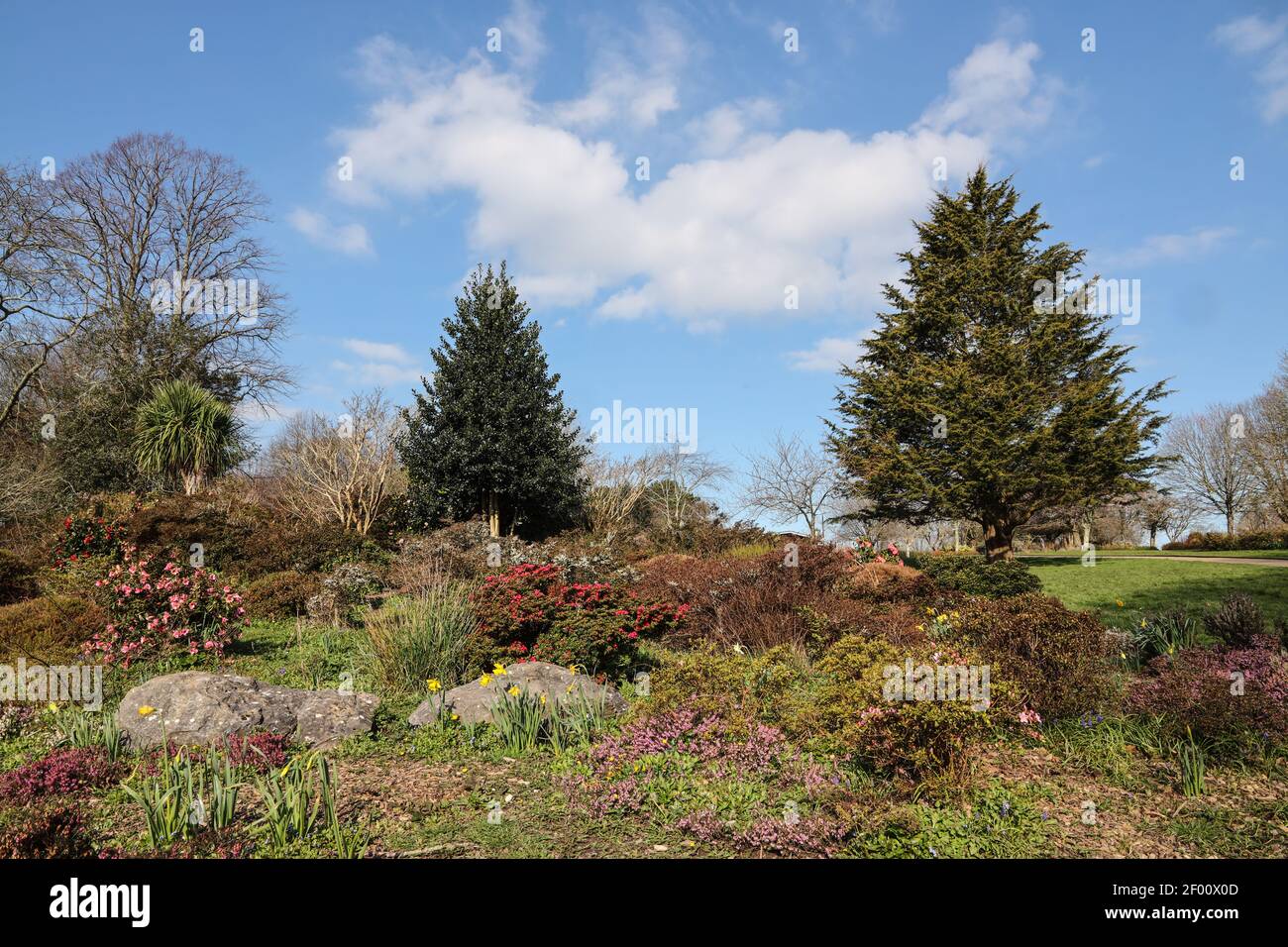 A bold display of early season flowers at Devonport Park in Plymouth is ...