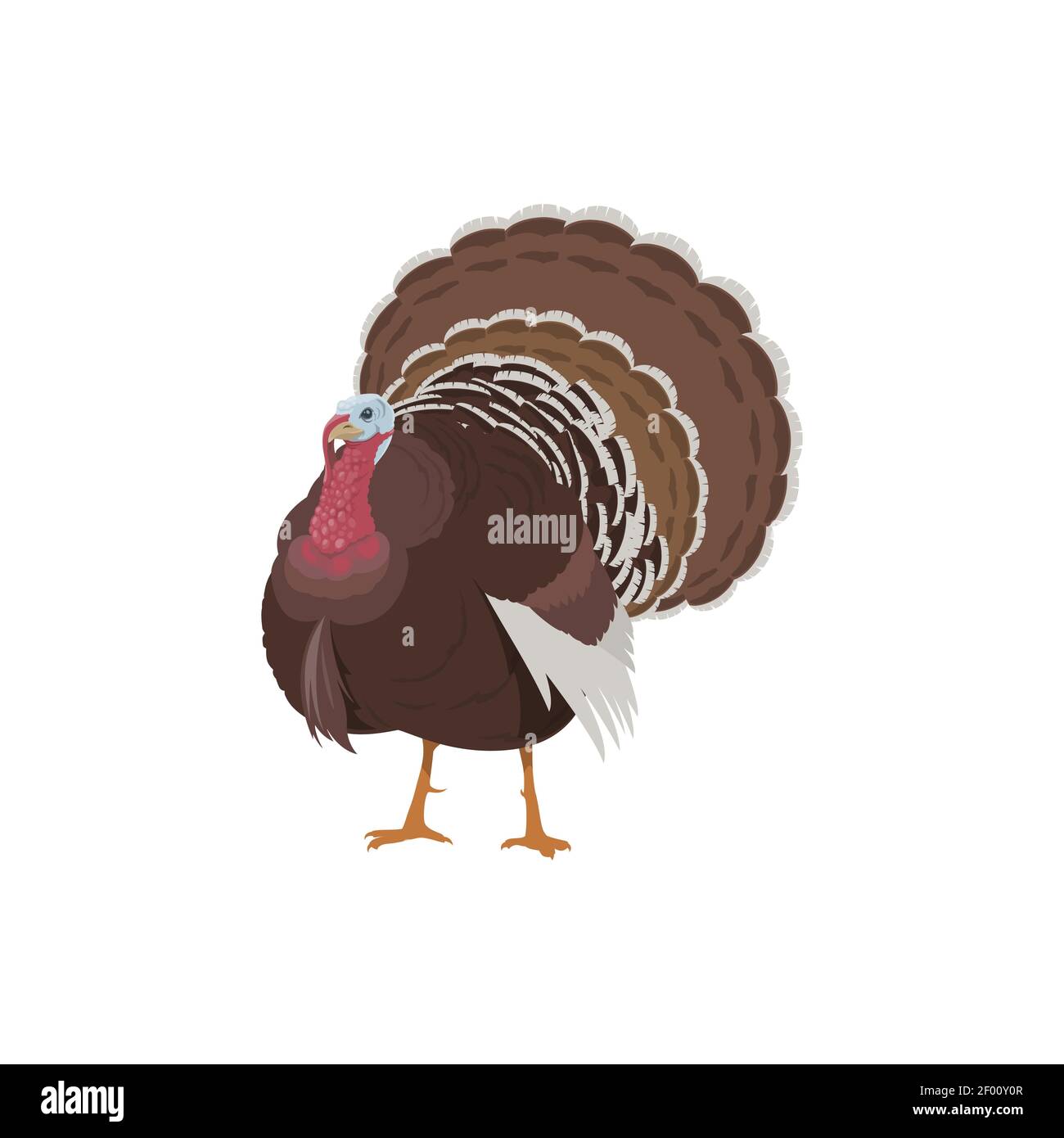 Turkey Bird Icon Png