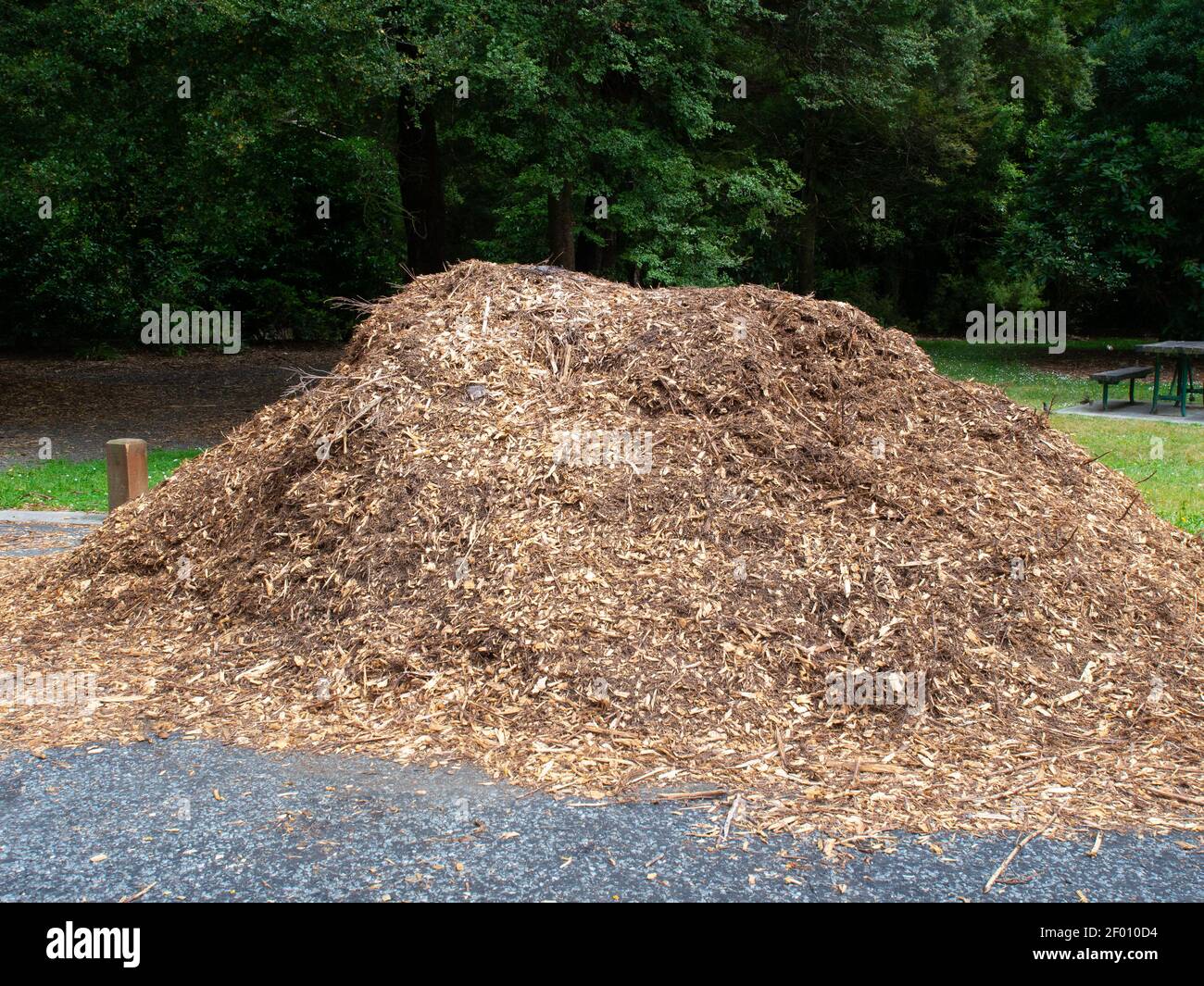 Pile Of Sawdust At Harcourt Park Stock Photo - Alamy