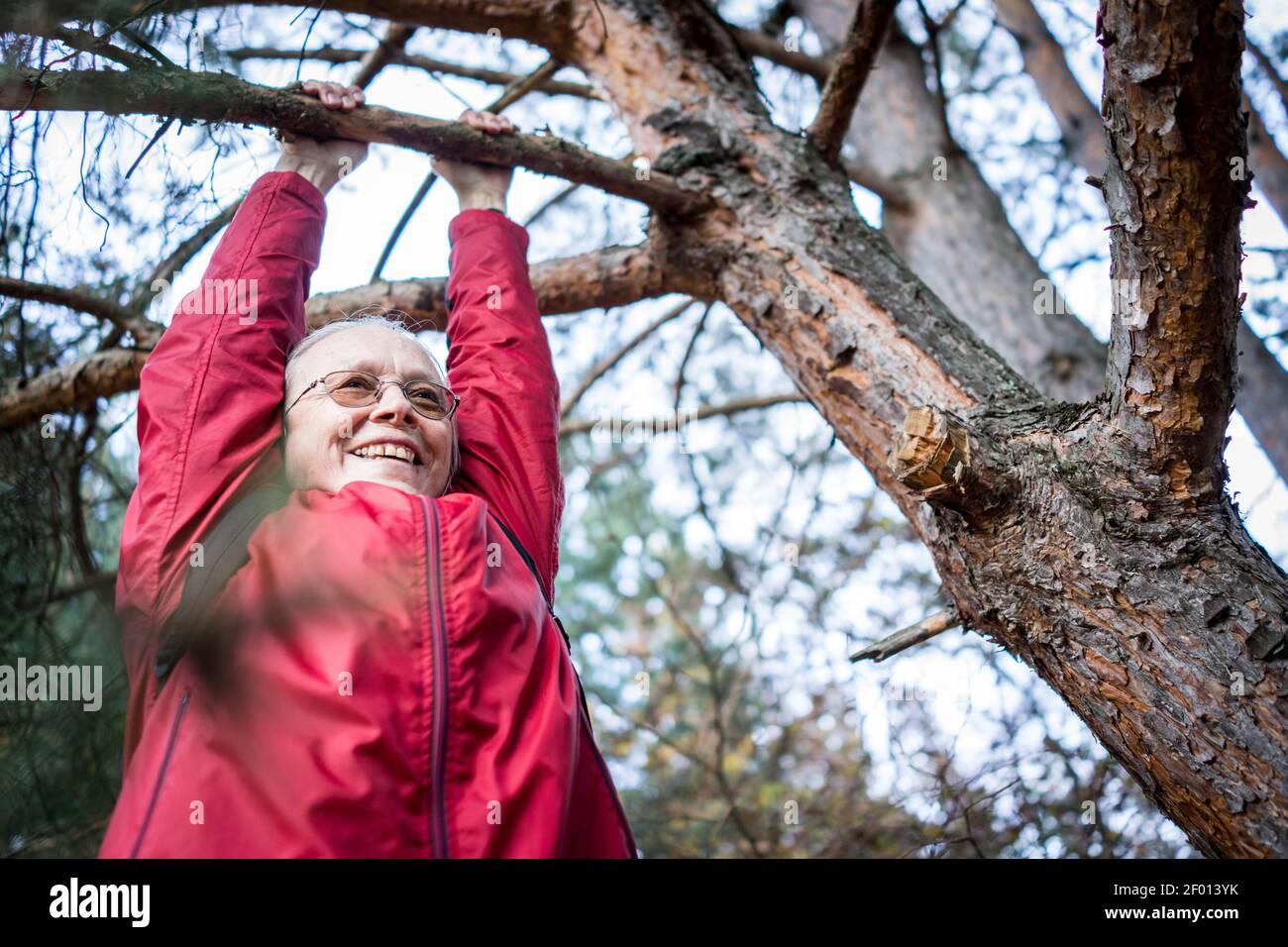Active senior woman happy hanging from tree in the forest Stock Photo ...