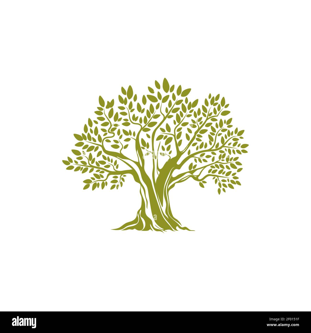 Green tree with leaves isolated icon. Vector European olive botanical ...