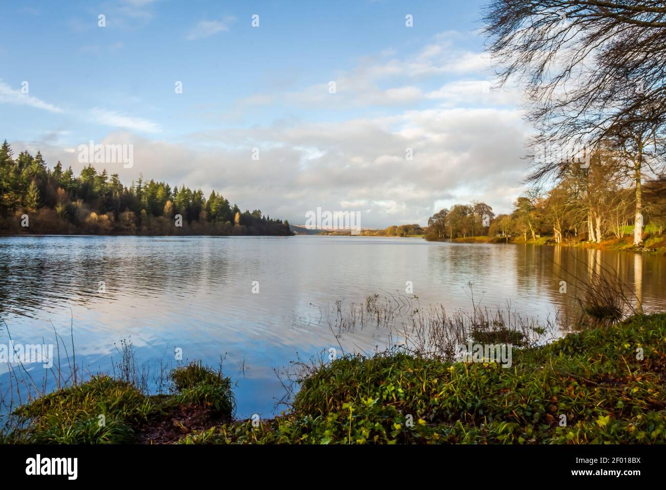 Summer loch ken scotland hi-res stock photography and images - Alamy