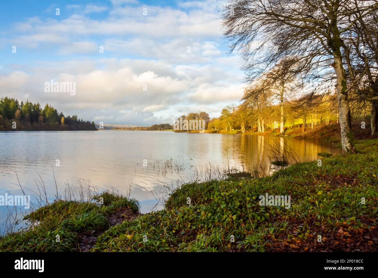Loch ken hi-res stock photography and images - Alamy